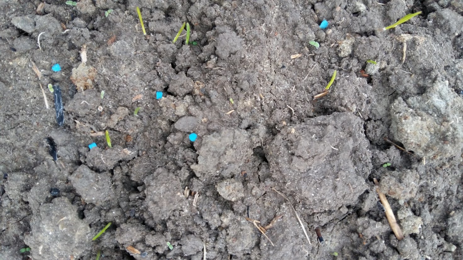 Metarex Inov 04 RB- Przetrwa nawet ulewne deszcze - Agrosimex.pl