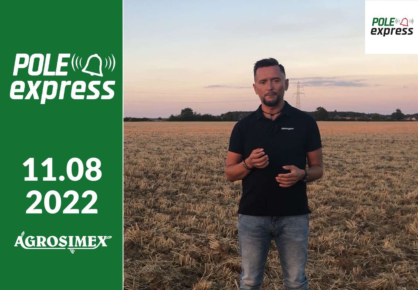 Pszenica Venecja po żniwach. Jaki dała plon? POLE express - Agrosimex - Agrosimex.pl