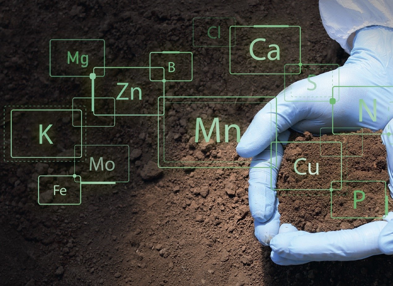 Badania gleby metodą rolniczą – dla kogo? - Agrosimex.pl