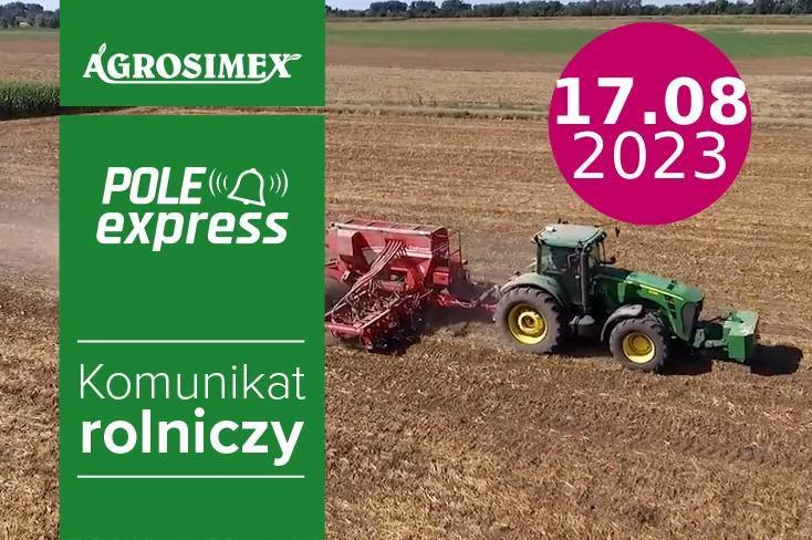 Przygotowania do siewu rzepaku - POLE express - Agrosimex.pl